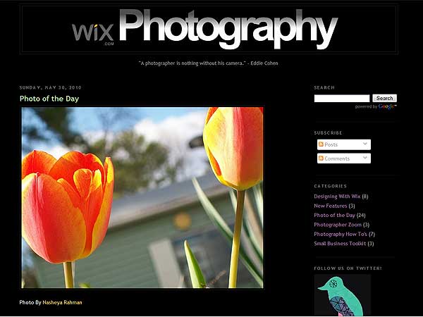 Website Builder Wix Creates Photography Blog For Users To Showcase 