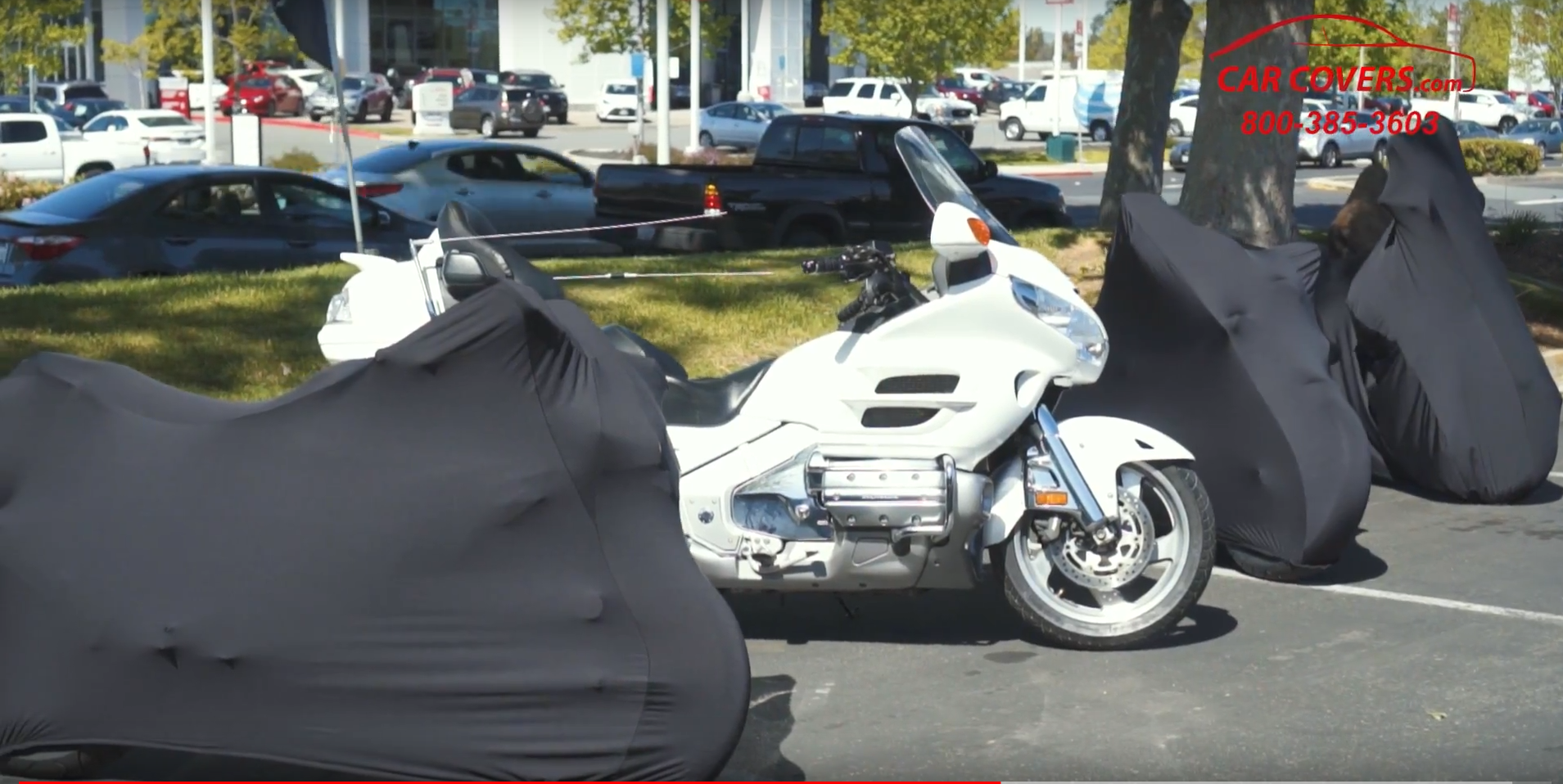 CarCovers.com Introduces Latest Product - Sleek, Sexy Black Satin ...